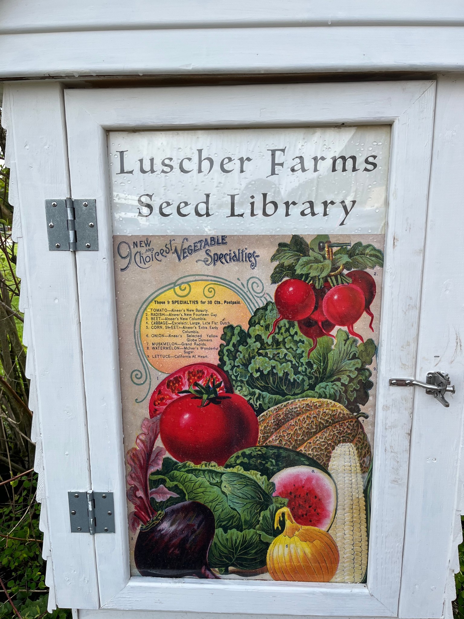 52 Reasons to Love Lake Oswego | Why I love living in Lake Oswego ...