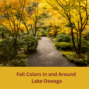 Where to Enjoy Fall Colors In and Around Lake Oswego | 52 Reasons to ...